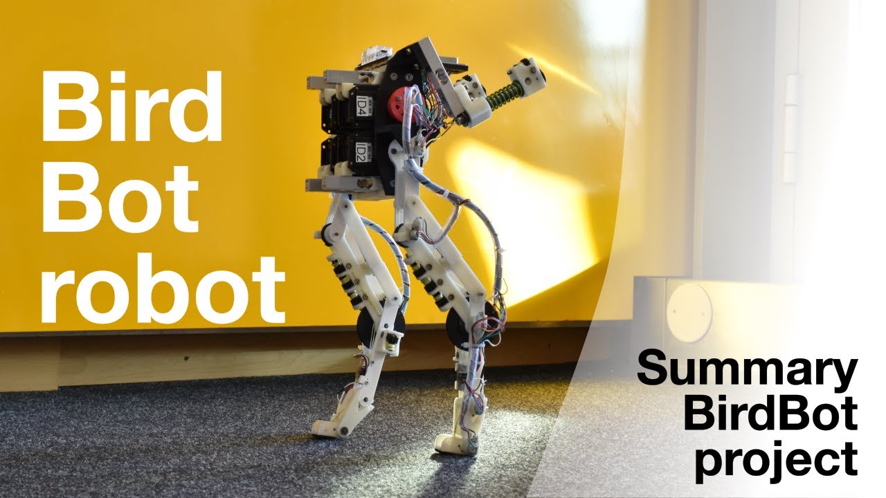 BirdBot, an energy-efficient robot leg inspired by birds' legs - YouTube