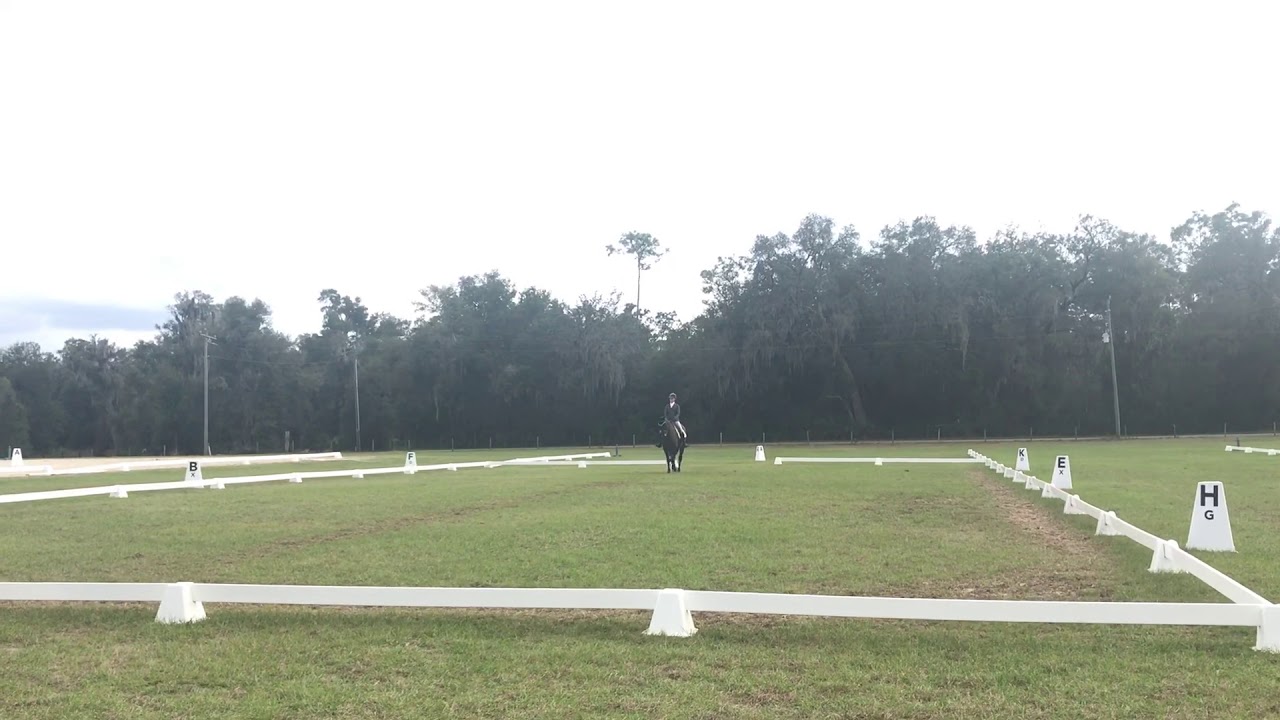 Anne Marie & Riley RH 1 drsg - YouTube