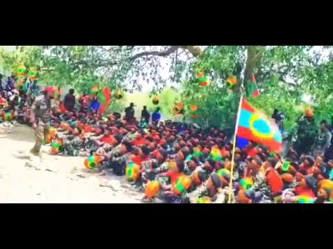 Kadhachisa jeetif dirooni wan kamiifuu hin jilbeenfatu - YouTube