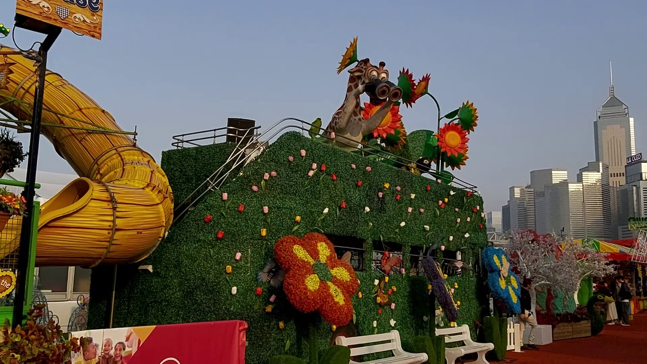AIA Carnival, Hong Kong 2020 - YouTube