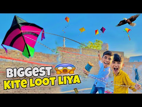 Zain Or Hadi Na Biggest Kite 🪁 Loot Liya 😱|| Chotahadivlogxs 