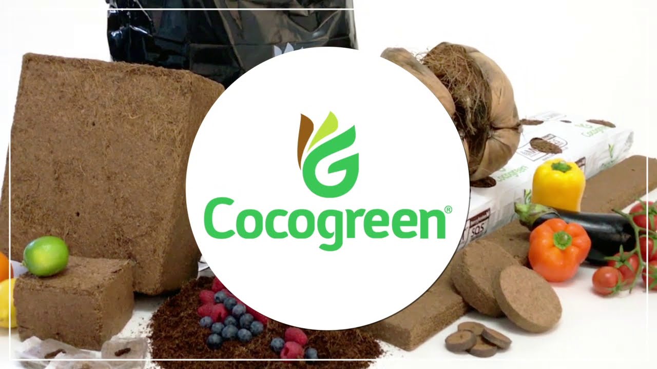 Cocogreen - Tu Empresa De Confianza En Sustratos - YouTube