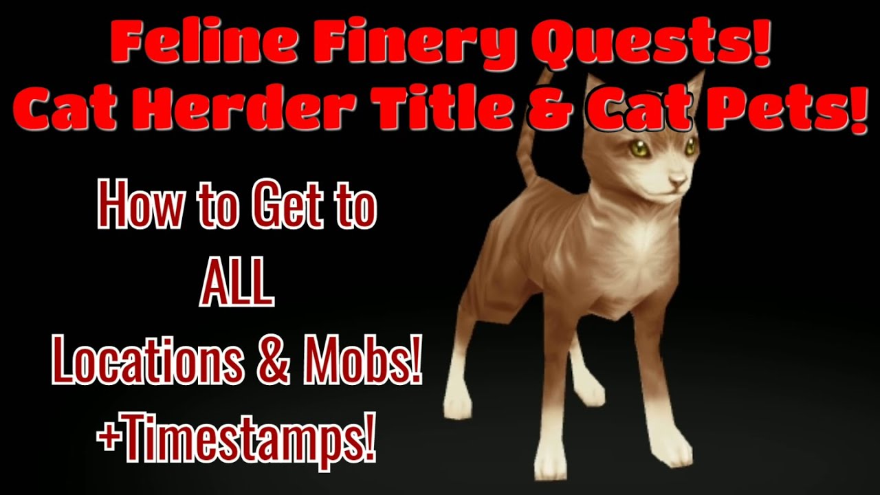 AQ3D Feline Finery Quests! How To Get To All Mobs & Locations! Cat Pets ...