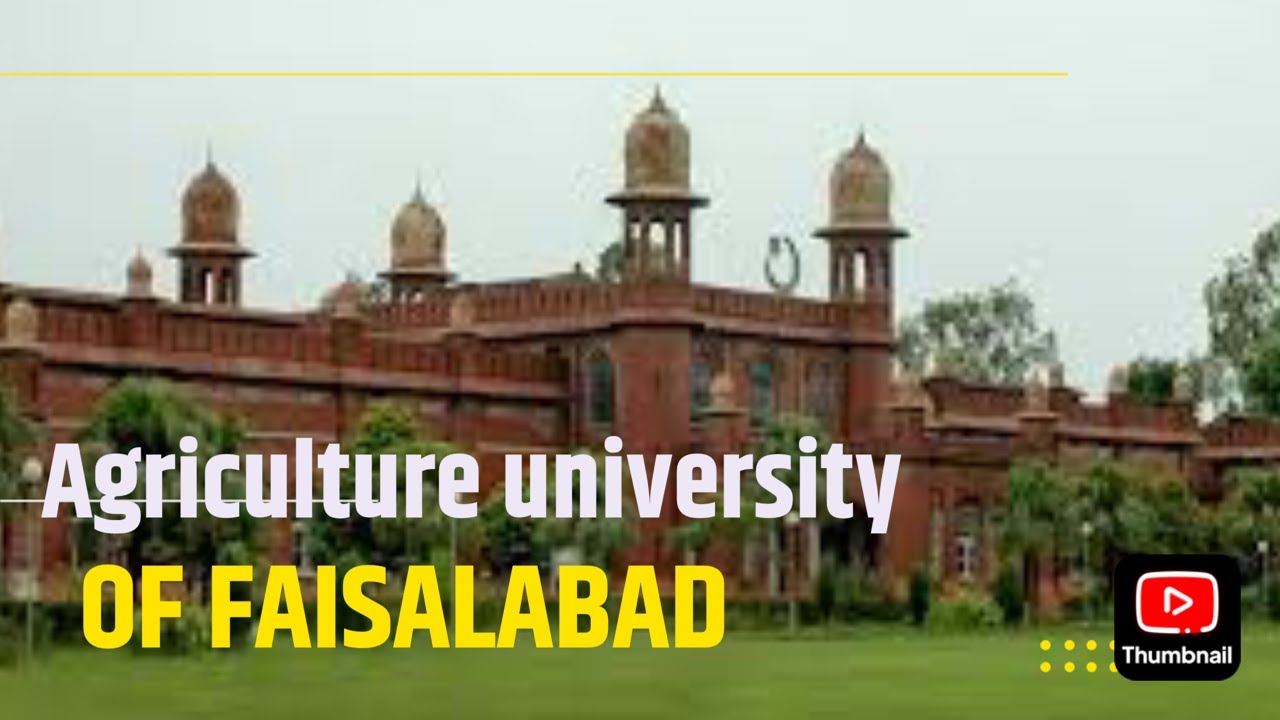 University of agriculture Faisalabad tour life at uaf full Documentry ...
