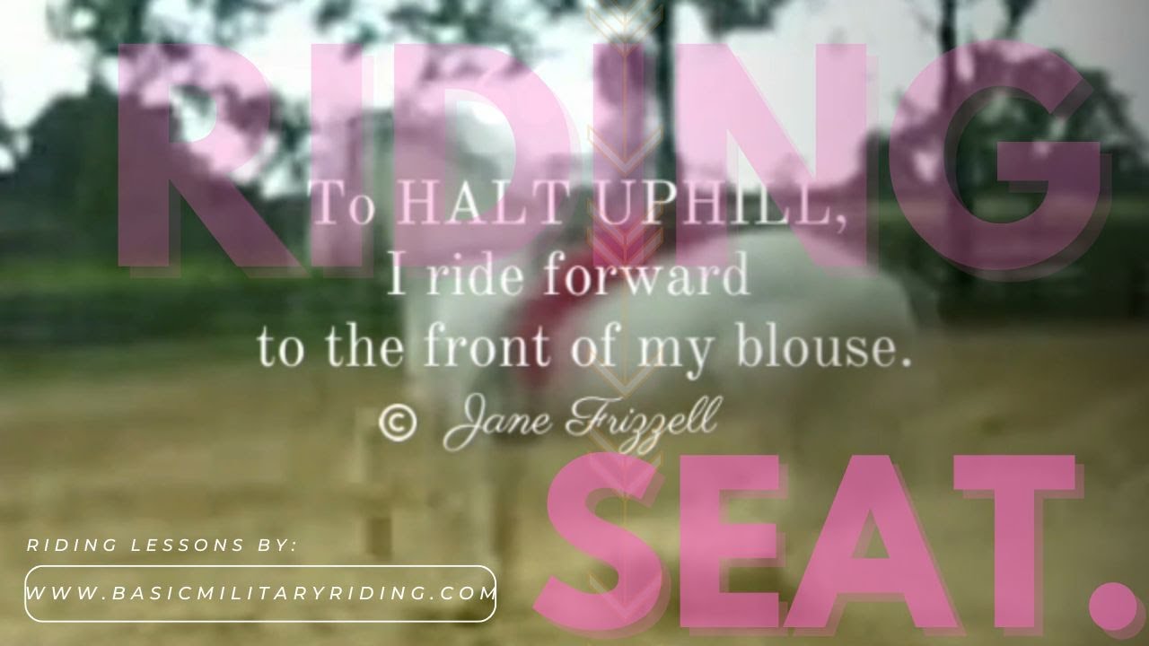 SEAT. 108 Position: Rider Position #108Position #seat #seatleghand # ...