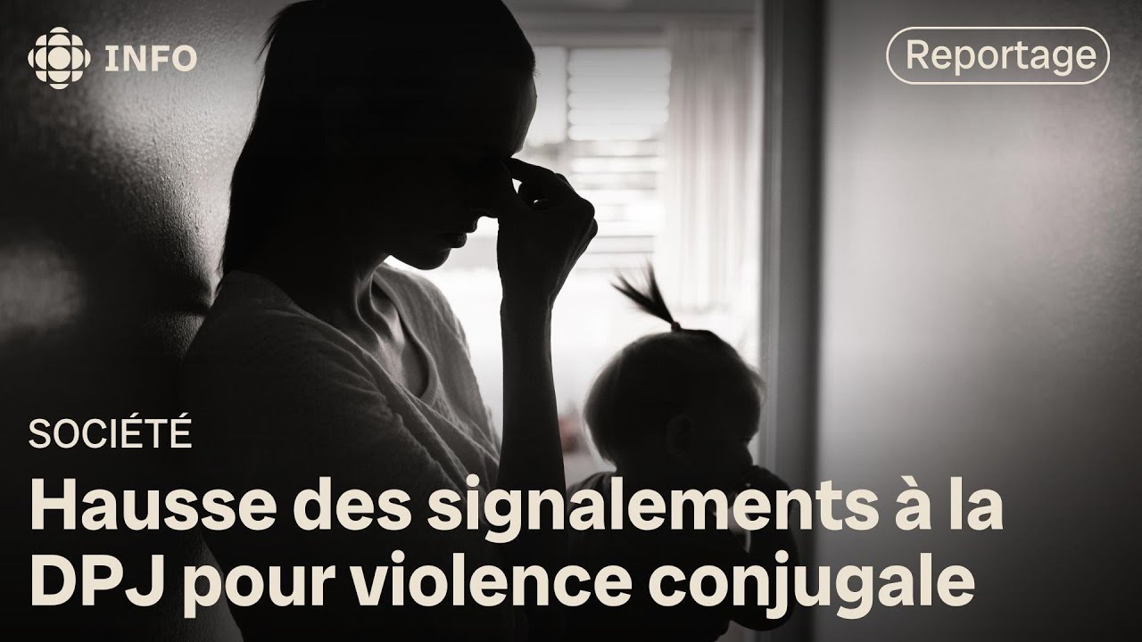 Les signalements à la DPJ pour exposition à la violence conjugale a ...