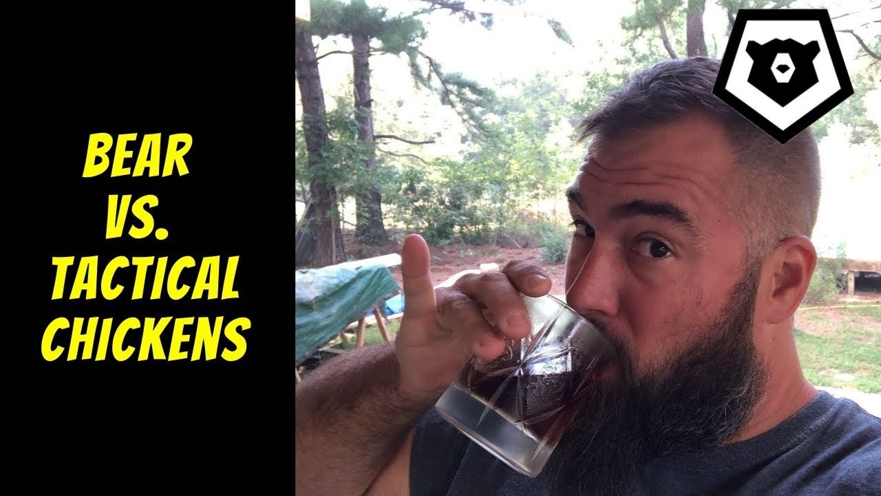 Bear vs Tactical Chickens - YouTube