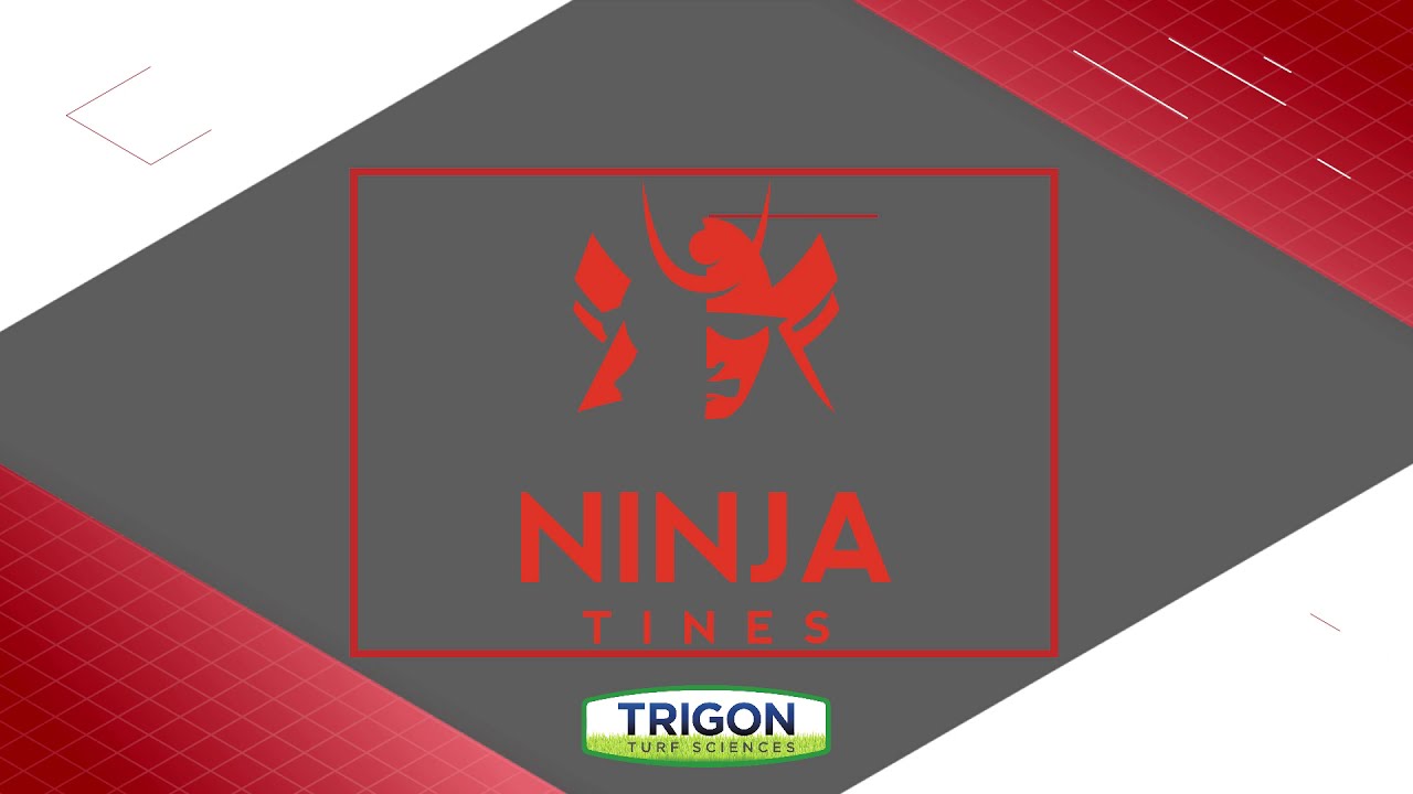 Ninja Tines Sets The Standard - YouTube
