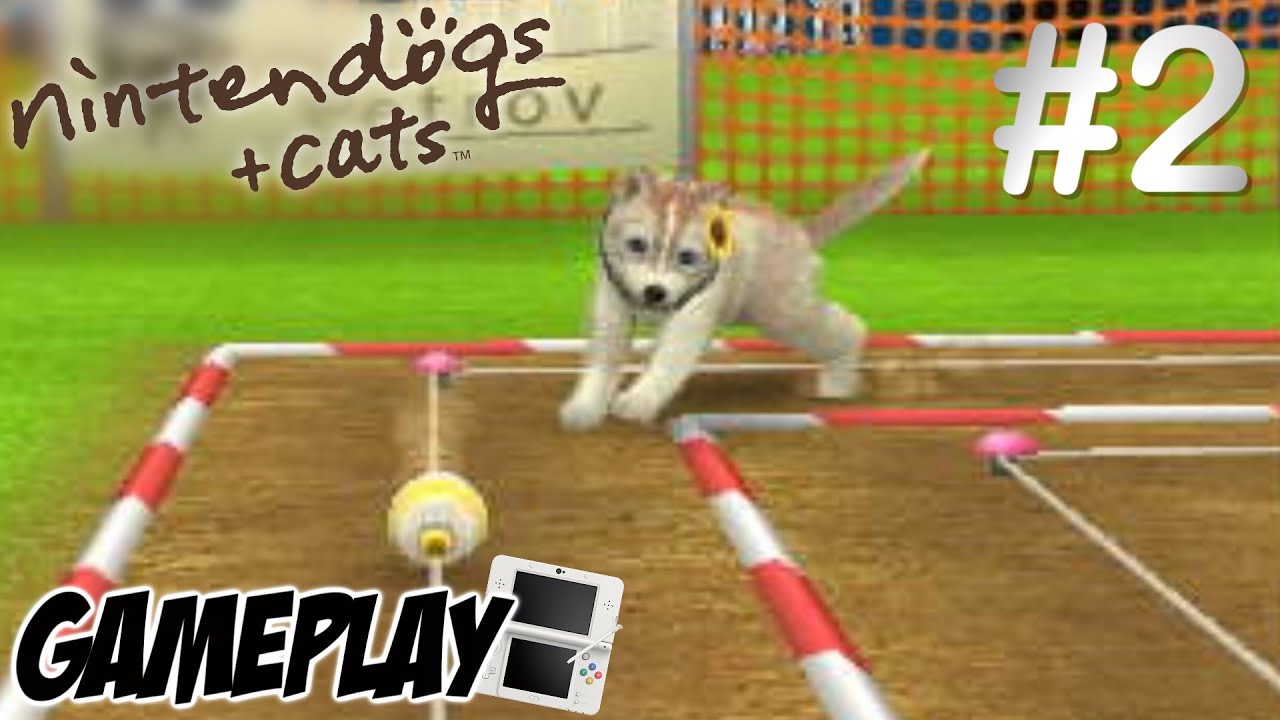 Nintendogs + Cats (Golden Retriever) Gameplay #2 [ITA] - YouTube