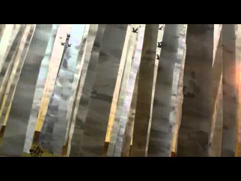 Jamie Caliri - United Airlines - Dragon - YouTube