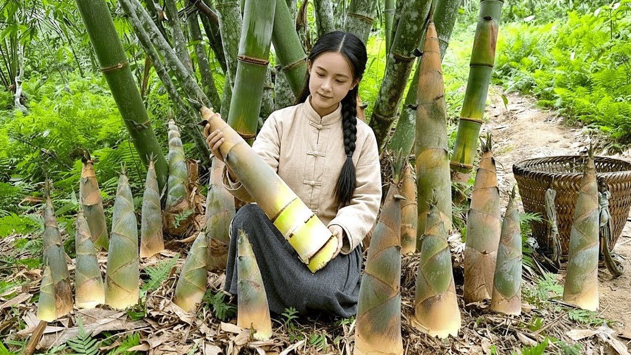 XiaoHua Dig Bamboo Shoots & Catch Snails, Cooking Liuzhou Snail Rice ...