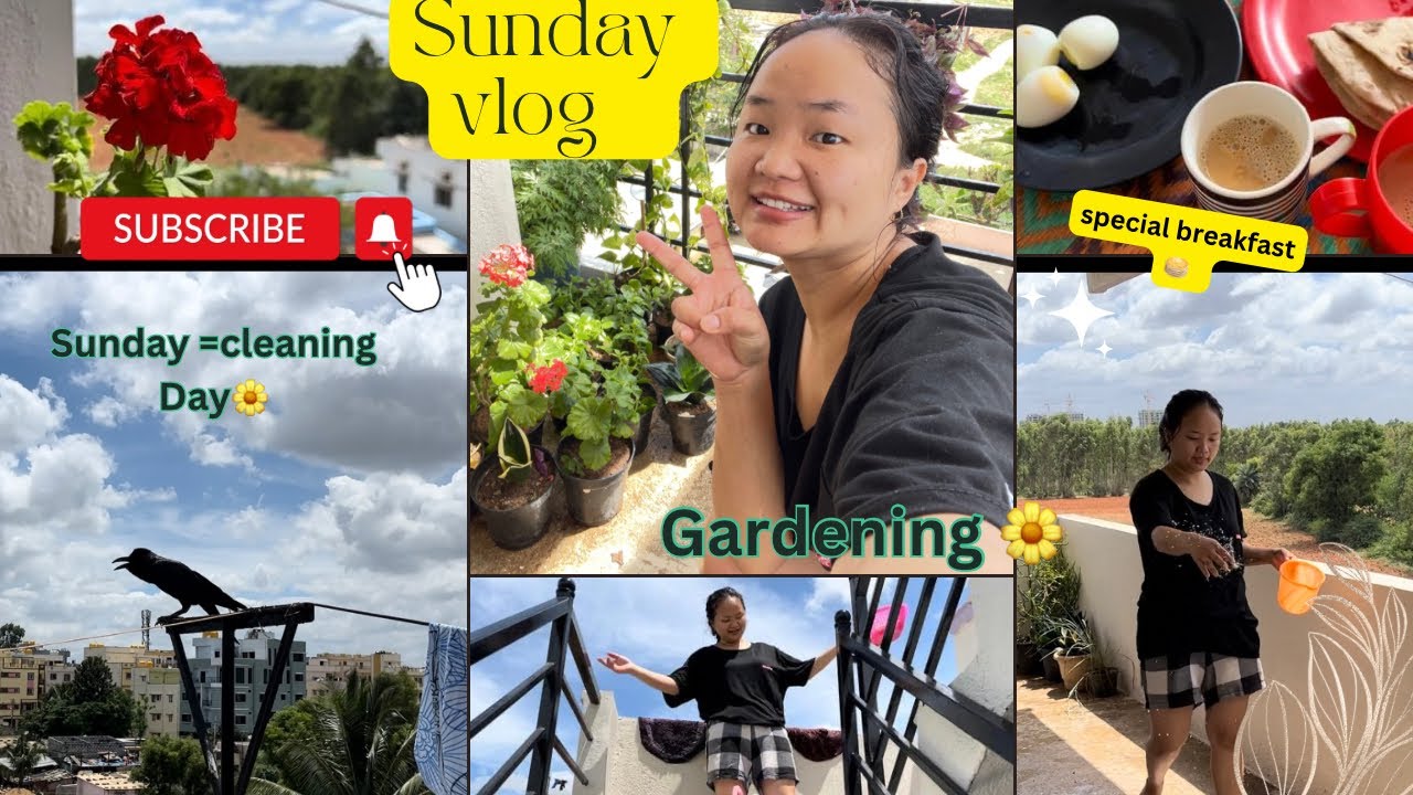 sunday vlog | cleaning day | taking care of neighbor’s garden 🪴 ...