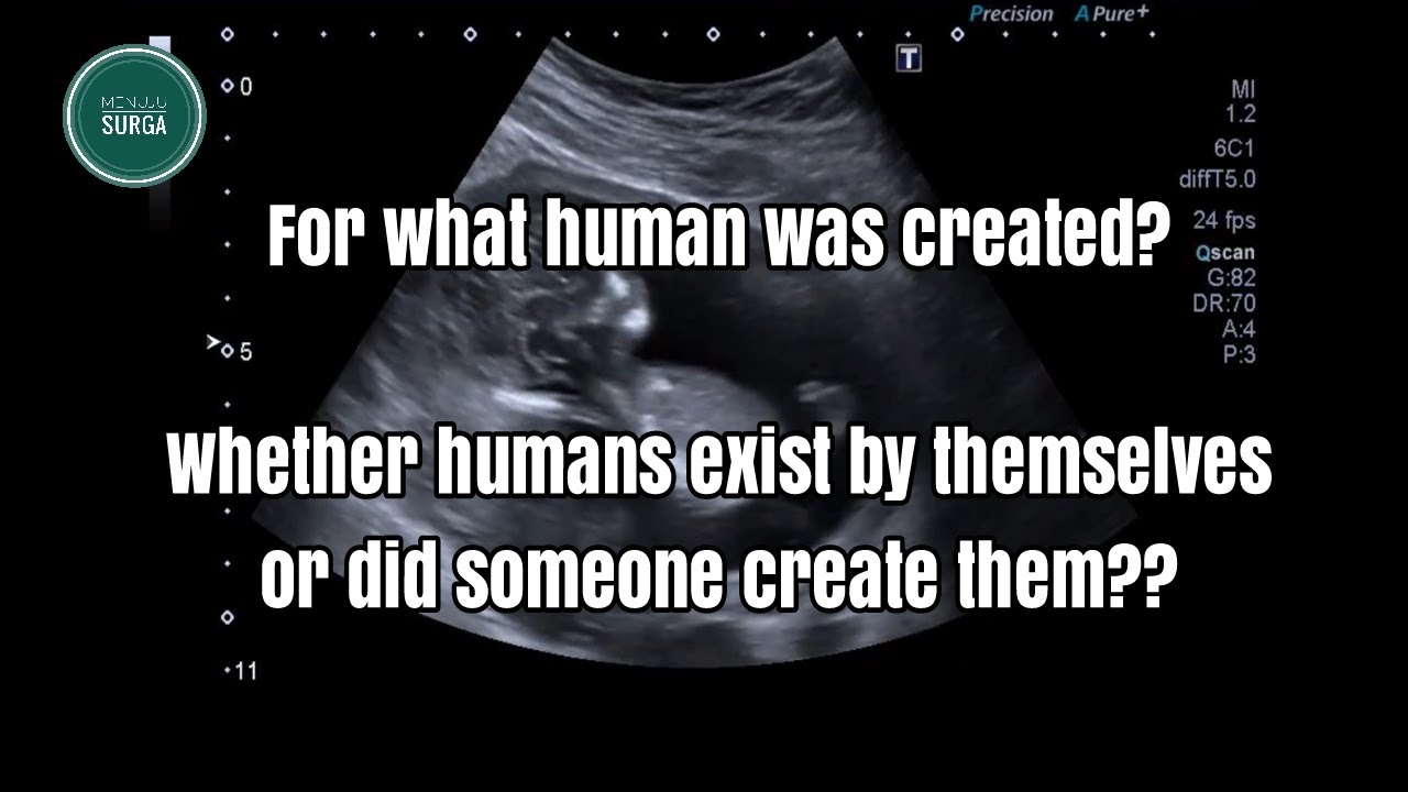 For What Human was Created? Whether Humans Exist by Themselves or did ...