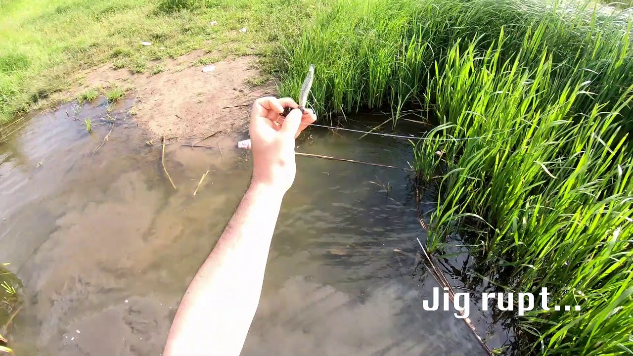 Zander run, broken jig. - YouTube