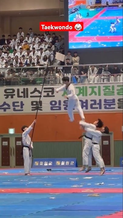 Taekwondo demonstration Korea | High-Flying Kicks & Board Breaking #taekwondo #stunt #shorts # ...