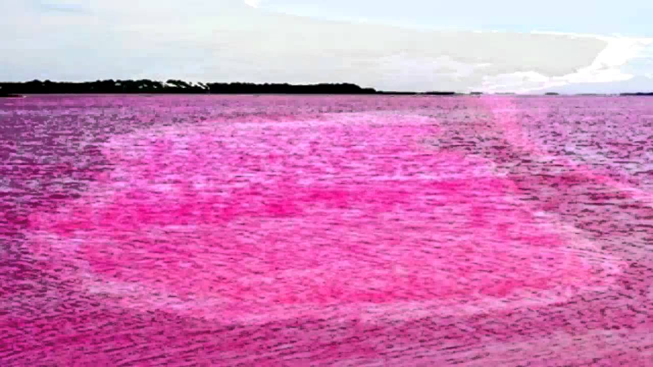 LAGO ROSA EN AUSTRALIA, UN GRAN MISTERIO - YouTube
