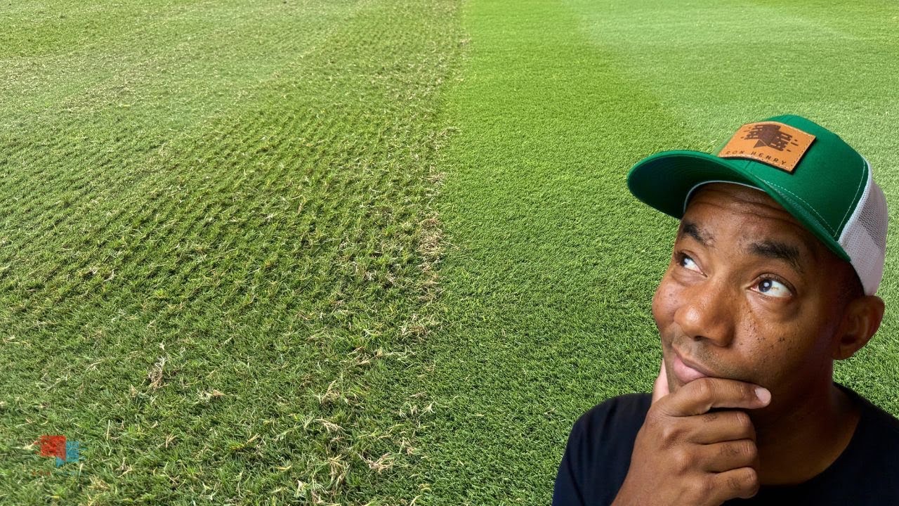 Summer Lawn Care Help - Golf Course Lawn - YouTube