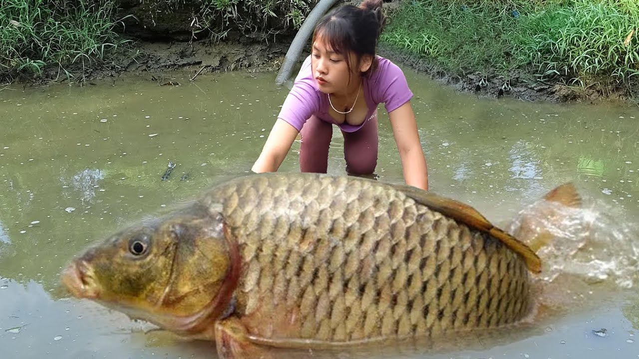 Full Video: Harvesting Big Fishing By Ancient Techniques | Catch Big ...