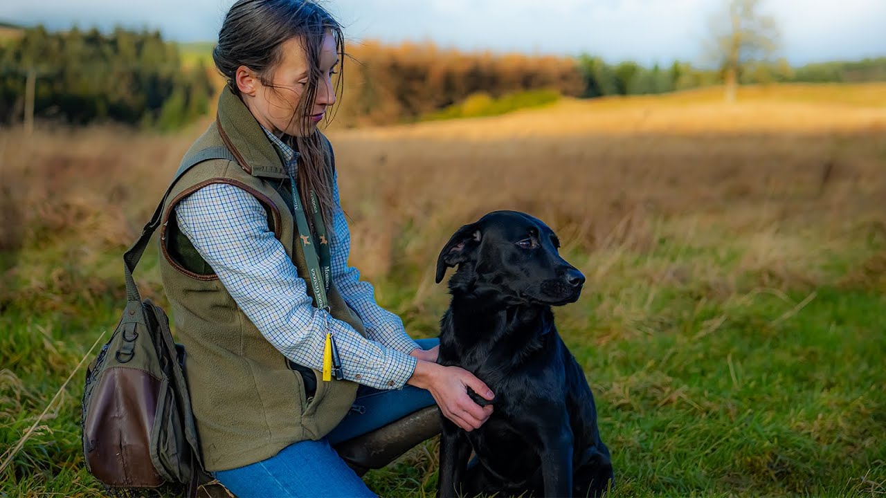 Meet Lauren: How Did She Become A Dog Trainer? - YouTube