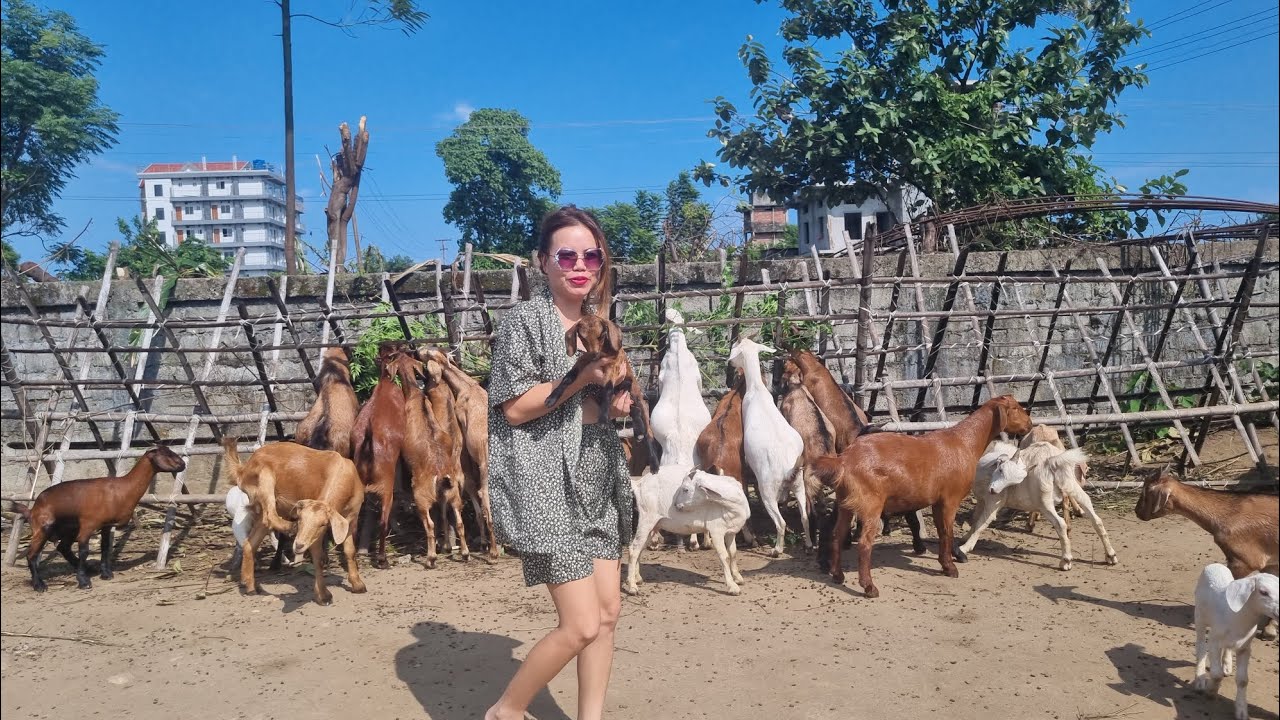 visit elders brother 🐐 goatary farm - YouTube