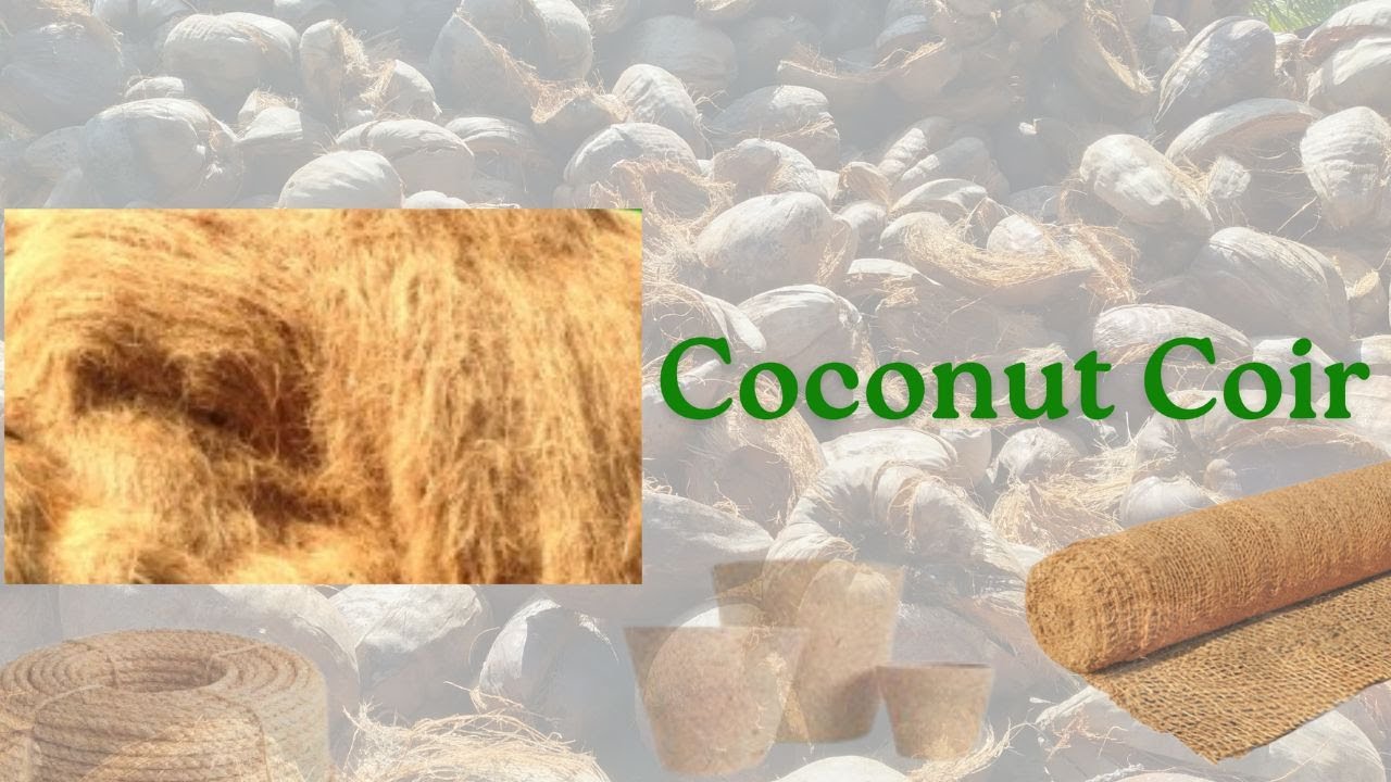 Discover What Coconut Coir Is & Its Benefits - YouTube