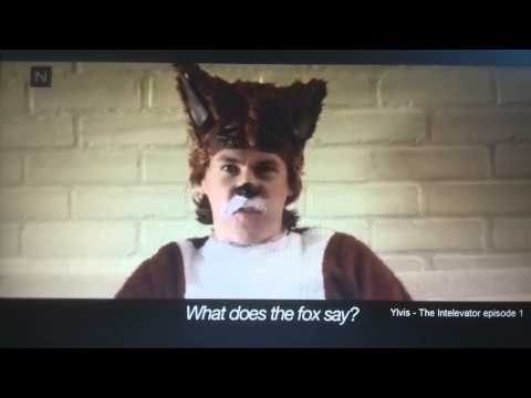 What does the fax say - vine