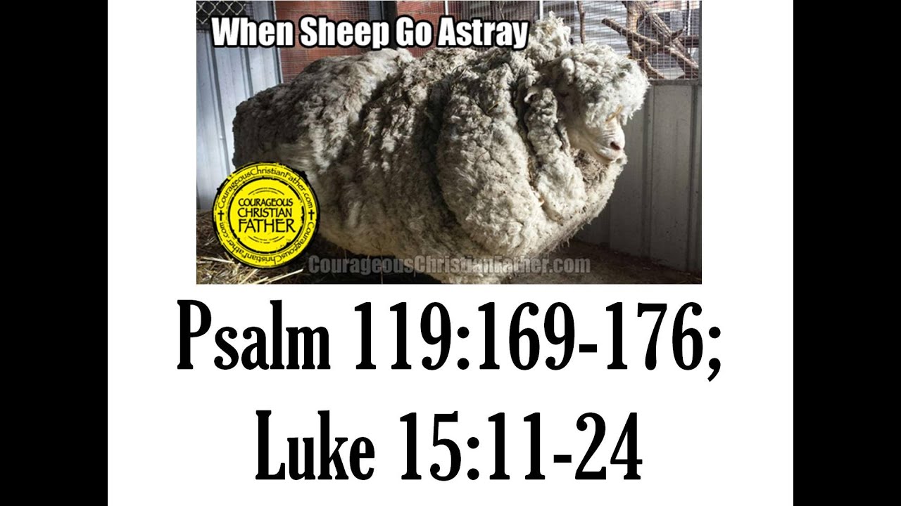 13MAR16-When Sheep Go Astray - YouTube