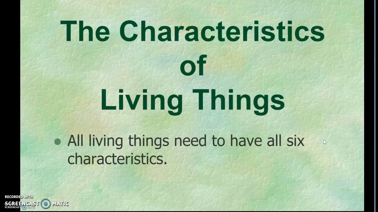 Week 2 Characteristics Of Life NOTES YouTube week-2-characteristics-of-life-notes-youtube