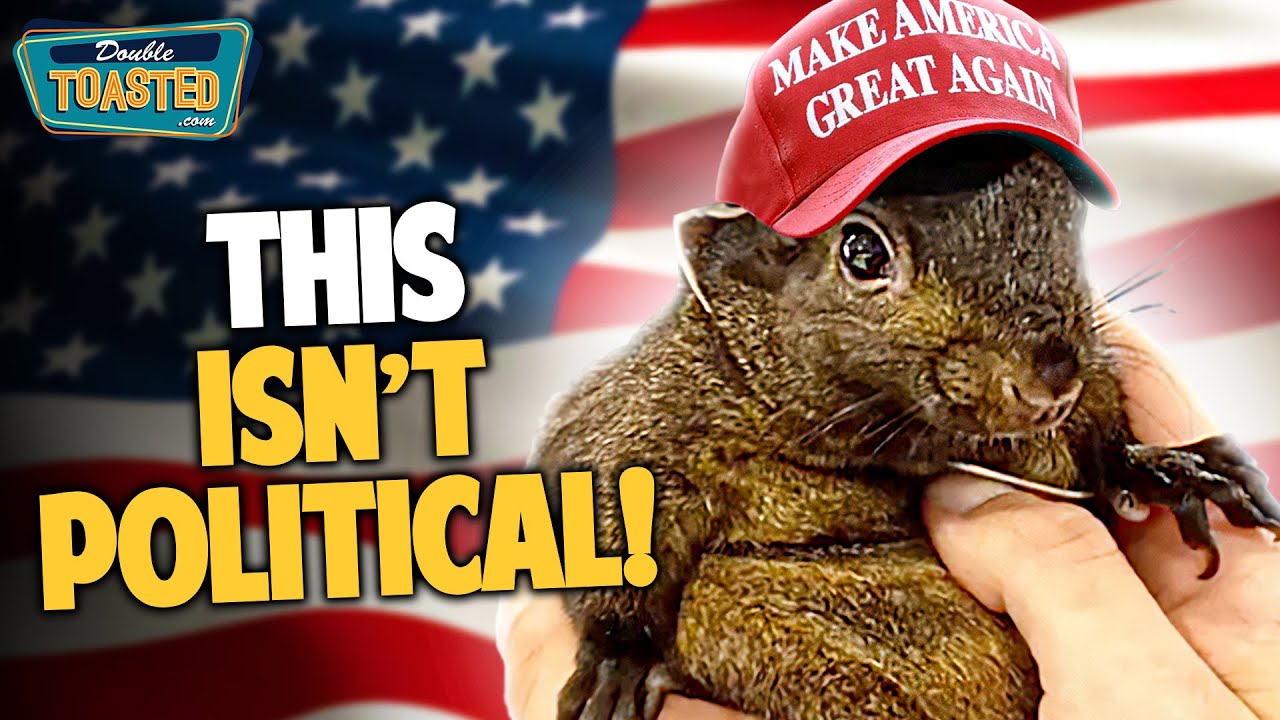 REPUBLICAN'S ARE USING PEANUT THE SQUIRREL'S DEATH AS A RALLYING CRY ...