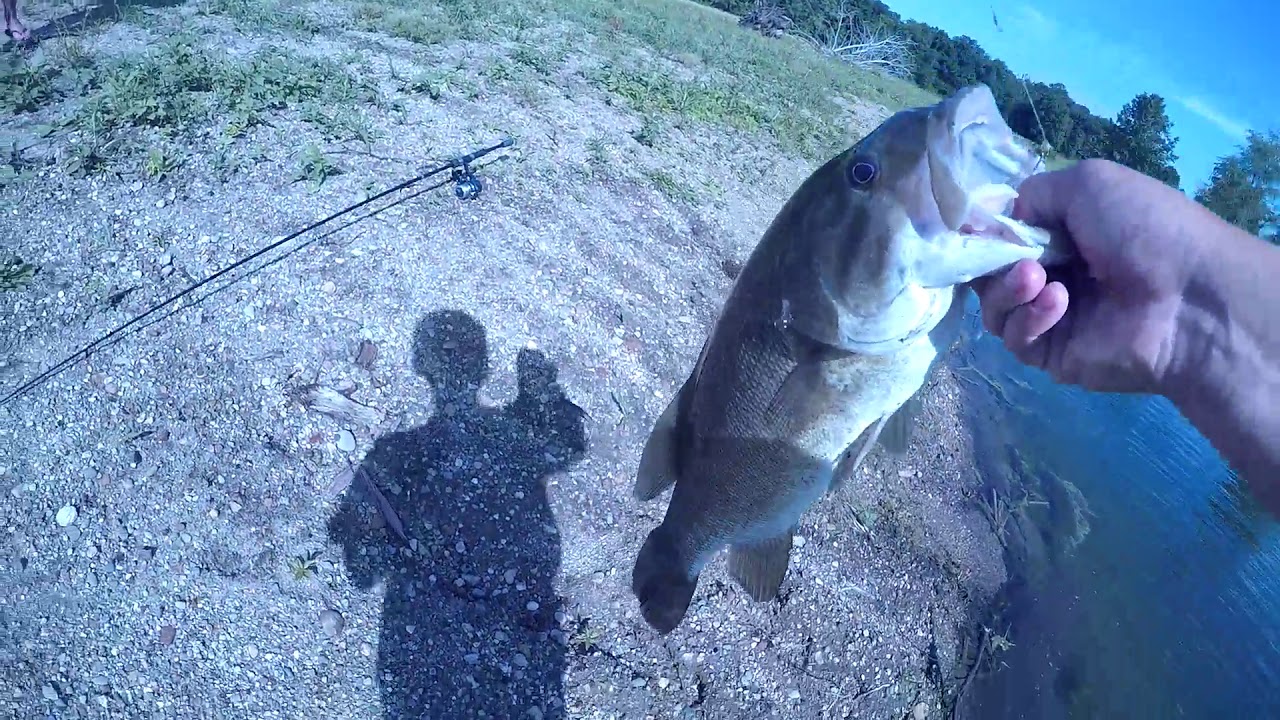 Fishing for anything - YouTube