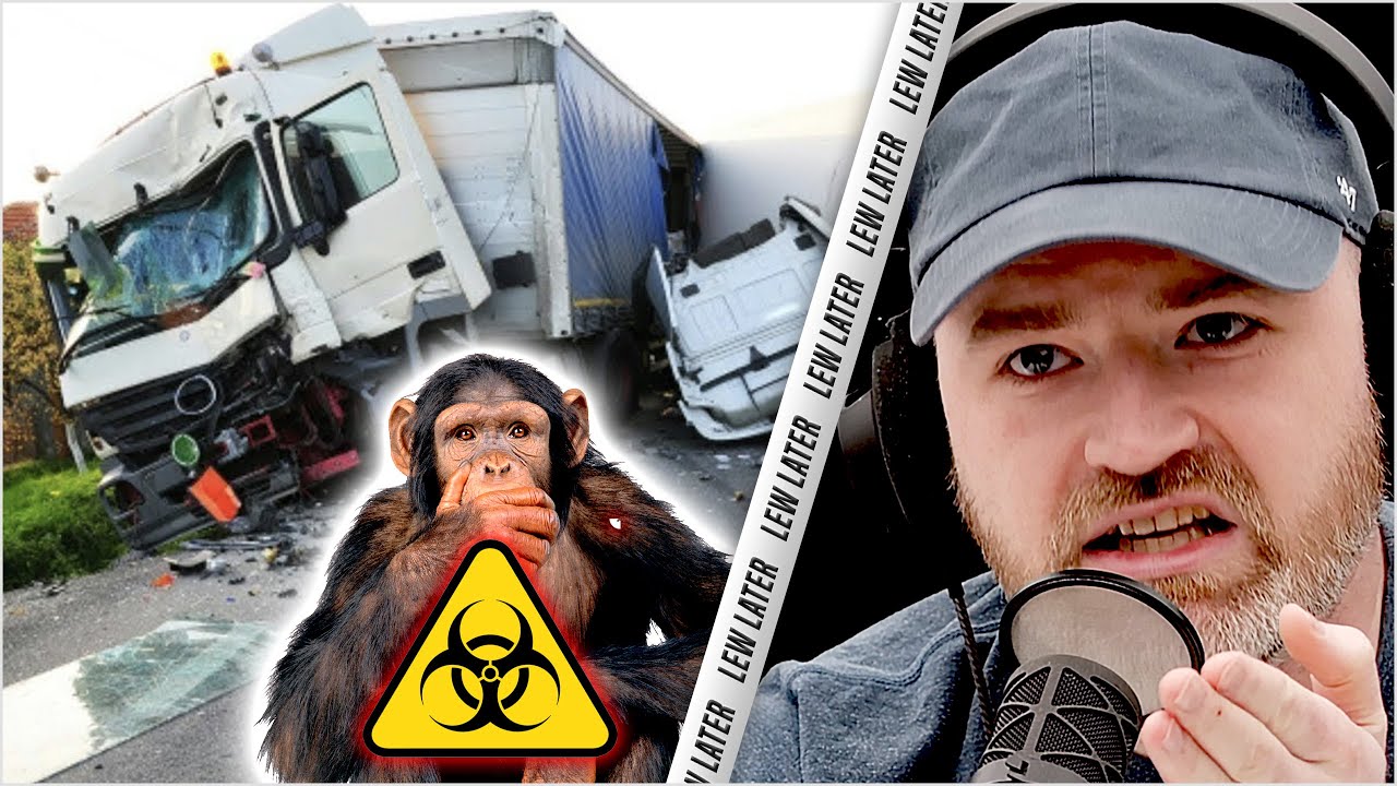 Woman Develop 'Symptoms' During A 100 Monkey Car Crash... - YouTube