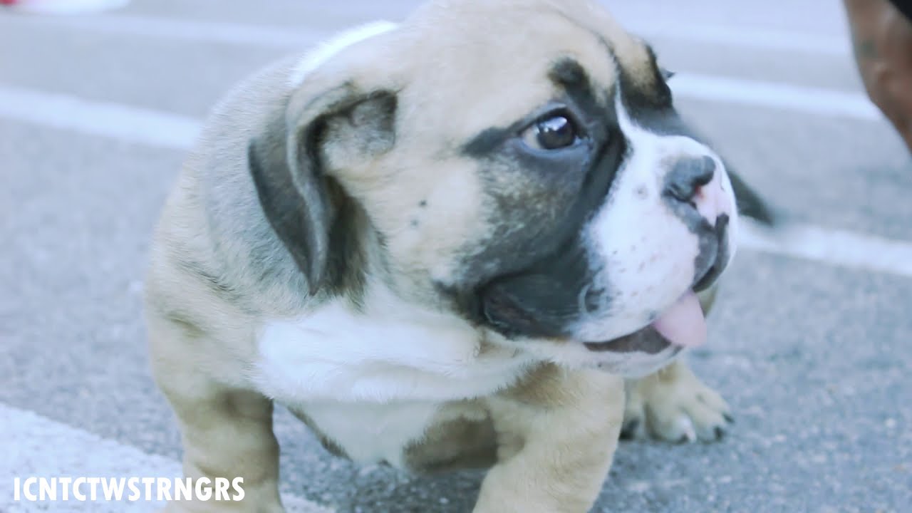 Slim Thug Cars, Kandy Red Bread! Houston Car Culture! Slabs on Sunday ...