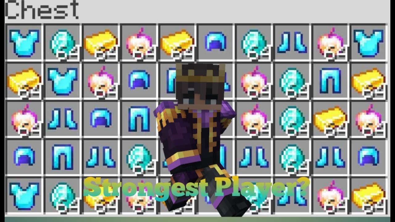 How I Become The Strongest Player In This Minecraft SMP || SkyWillSMP ...