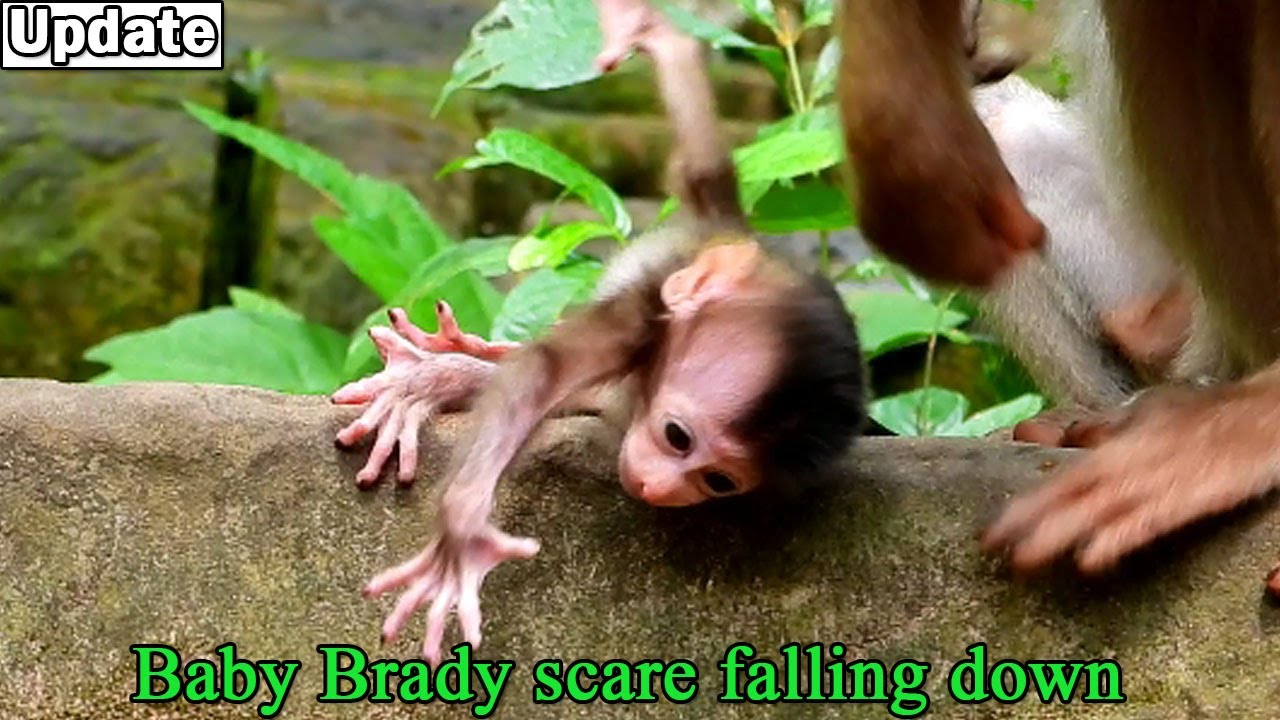 No, Libby plz help baby! Baby Brady falling down by naughty mom Libby ...
