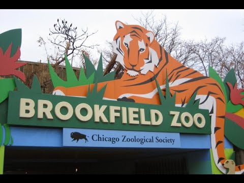Visiting Animals in Brookfield Zoo | Chicago suburb of Brookfield ...