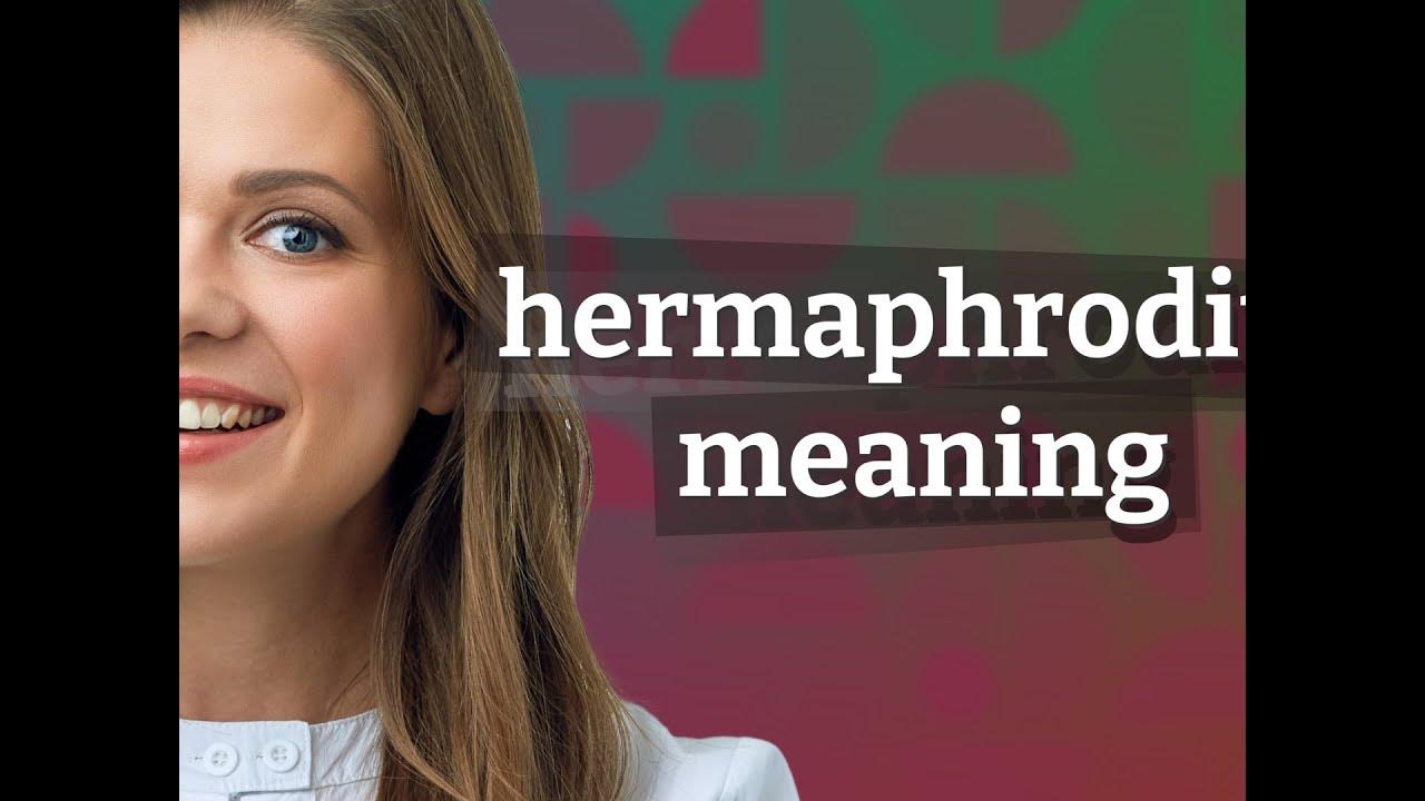 Hermaphrodite Meaning Of Hermaphrodite Youtube