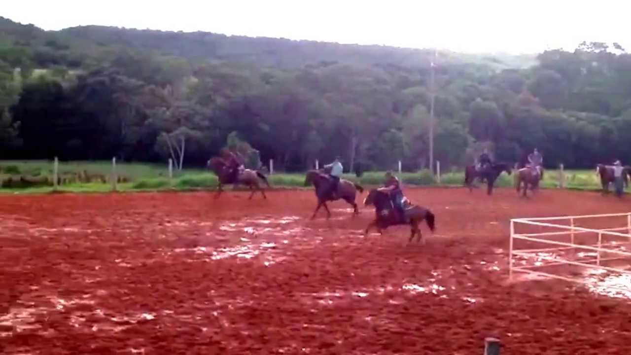 Team penning - YouTube