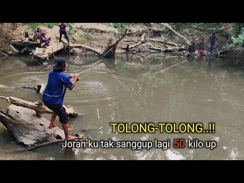Bertubi-tubi..!! Joran pemancing kena siksa mancing di sungai sarang buaya