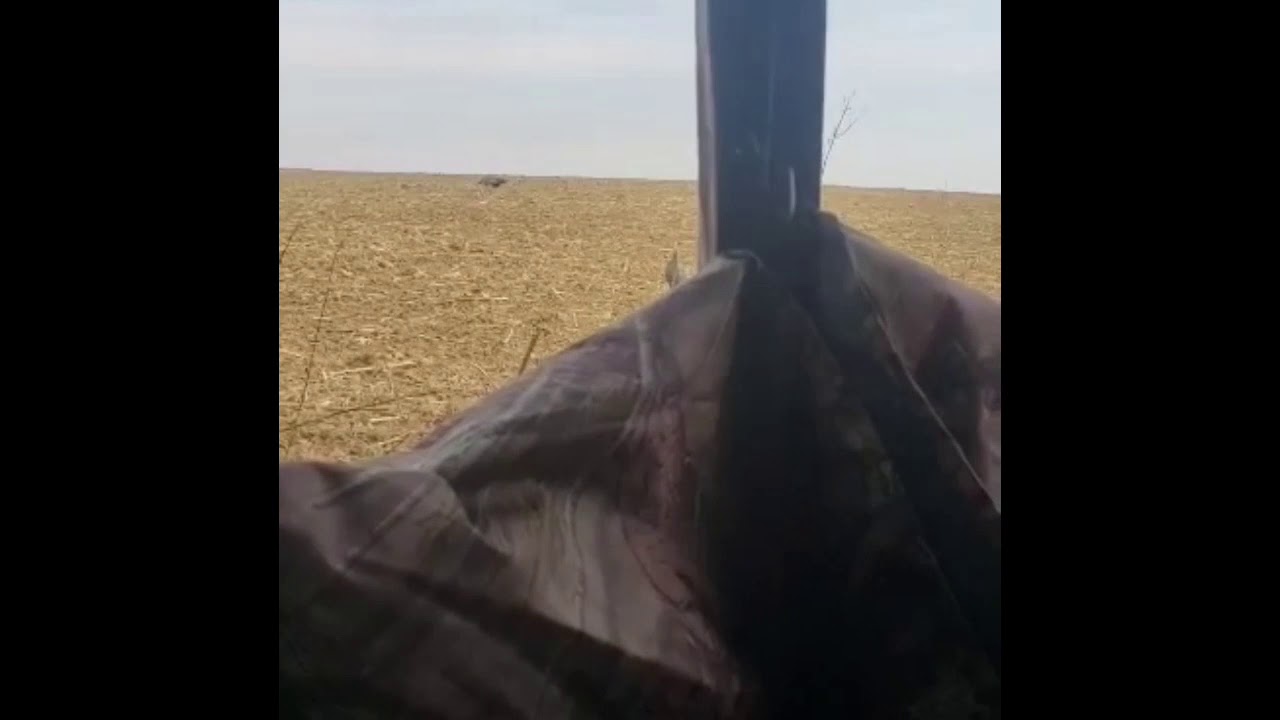 I Shot My First Turkey! - YouTube