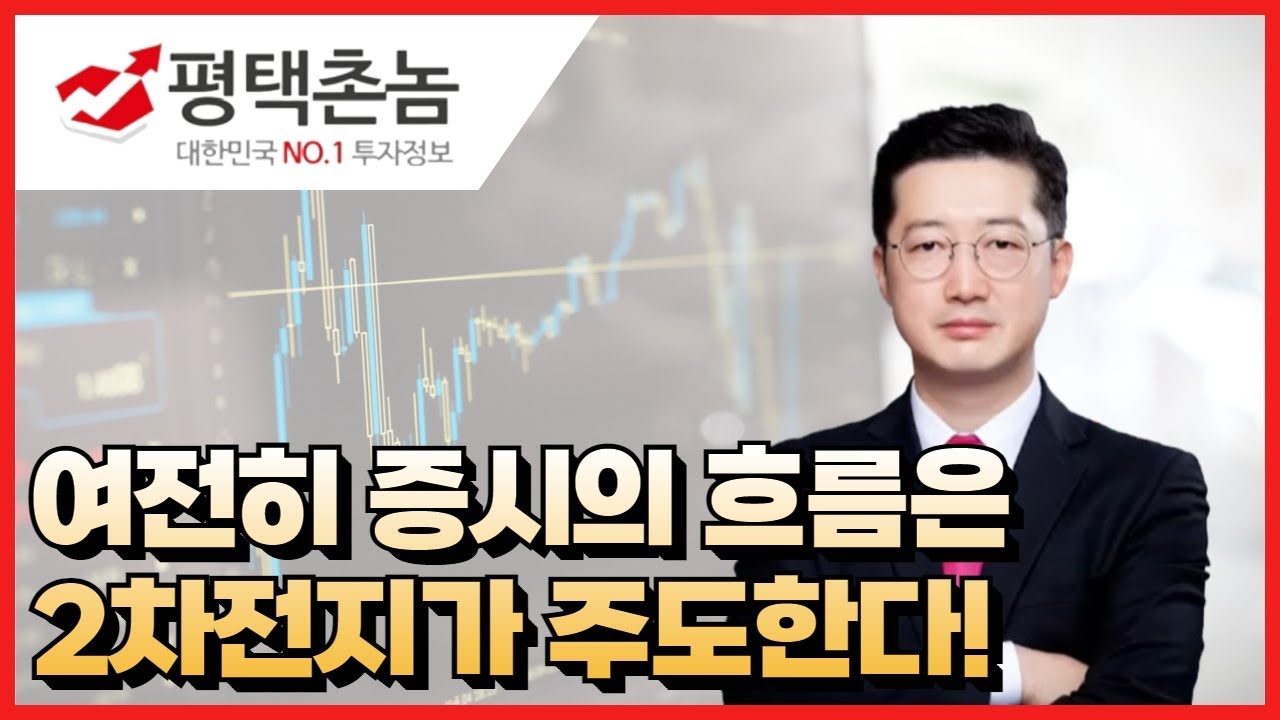 급등주 셀바스헬스케어 Ai 2차전지 구글 엔비디아 애플 테슬라 주식투자 삼성전자 에코프로 에코프로비엠