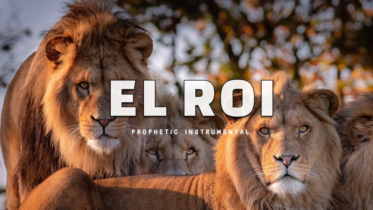 Prophetic Worship Music - EL ROI Intercession Prayer Instrumental - YouTube
