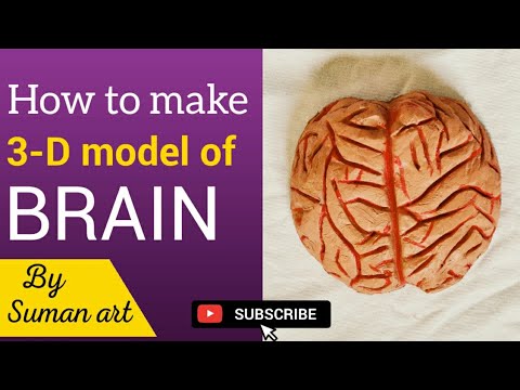 How to make a 3-D model of Brain for school project/activity - YouTube