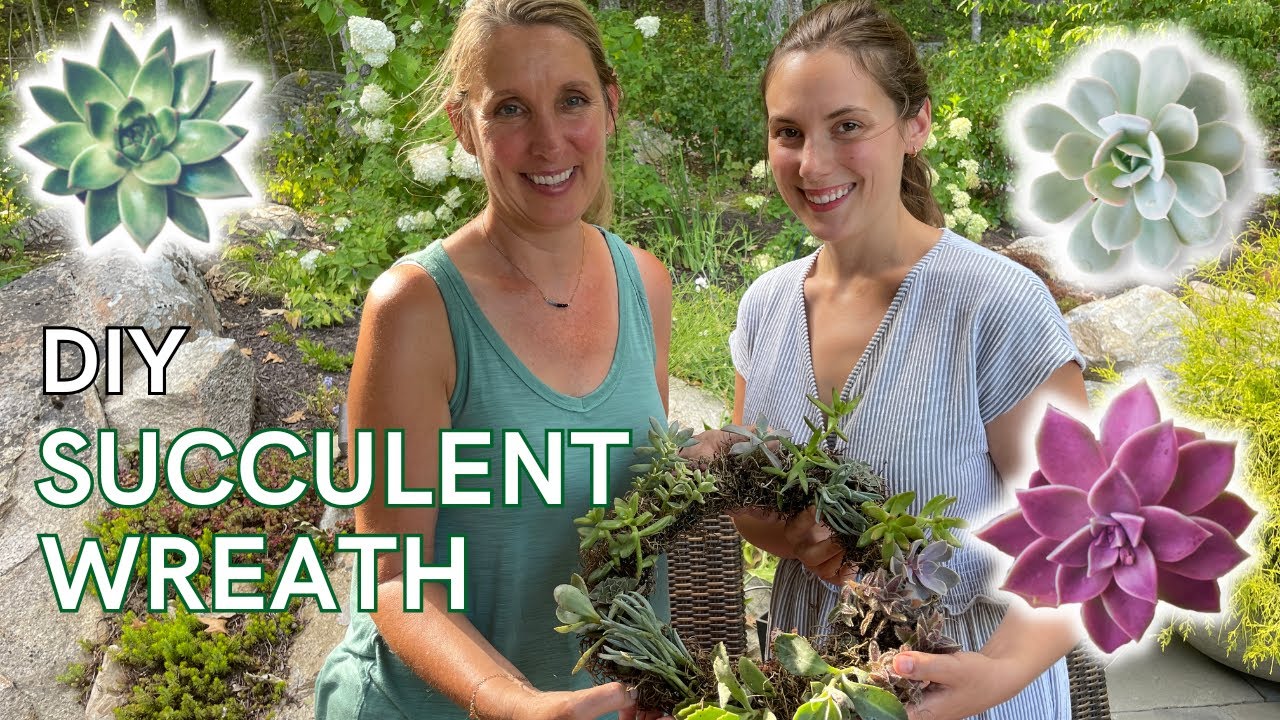 DIY Succulent Wreath Tutorial (with REAL succulents) - YouTube