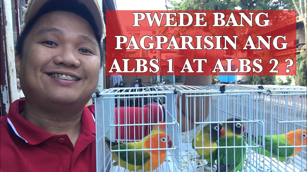 ALBS 1 AT ALBS 2 PWEDE BANG PAGPARISIN? - YouTube