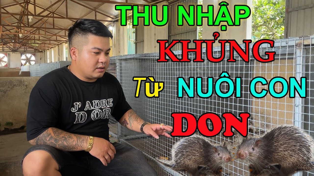 Thu Nhập Khủng Từ Nuôi Con Don( Con Hon) - Trại Don Giống Hà Nội | Chăn ...