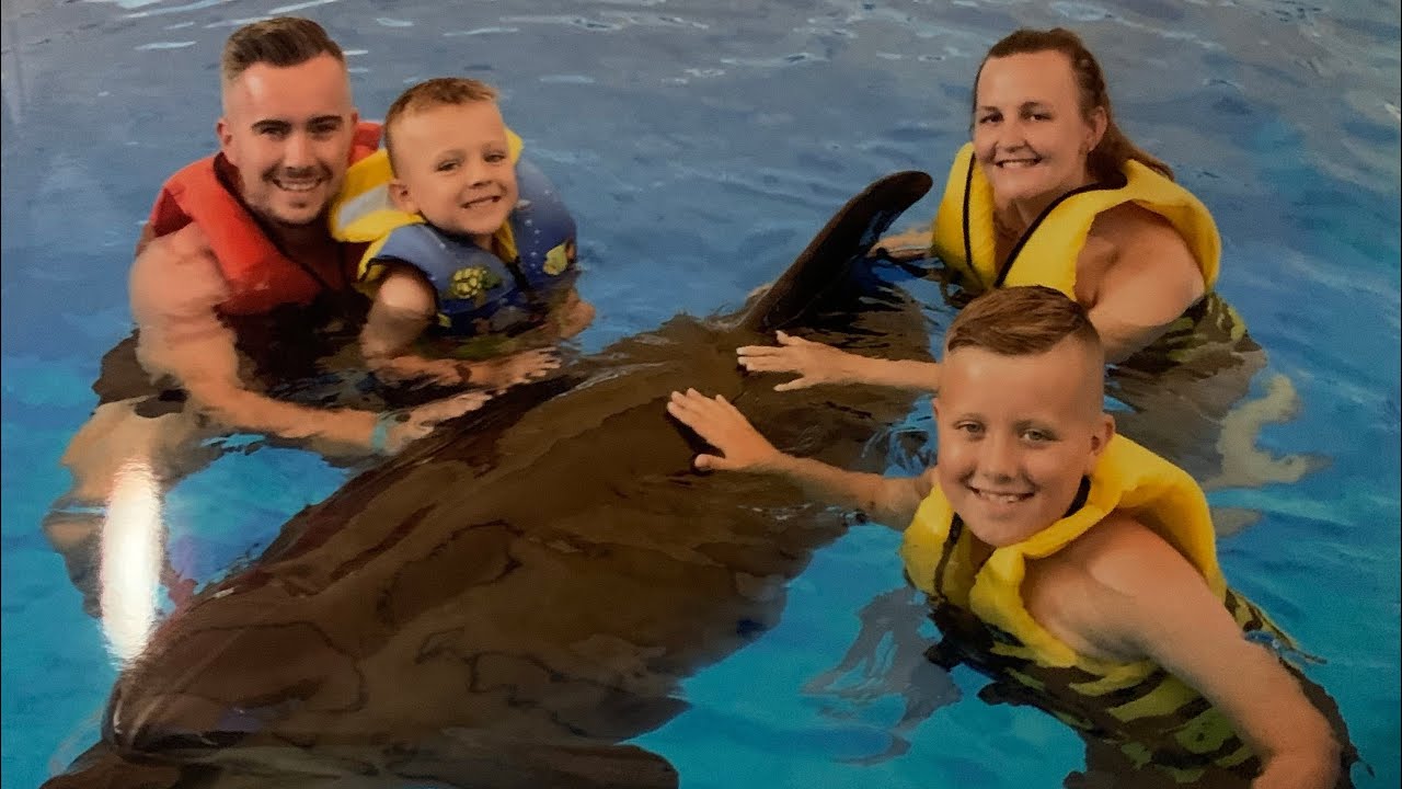 Swimming with dolphins Turkey 2022 - YouTube