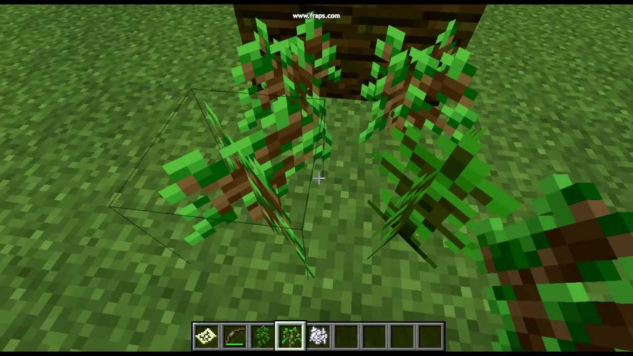 Minecraft jungle tree (spruce tree) sapling multiplying glitch (PART 2 ...