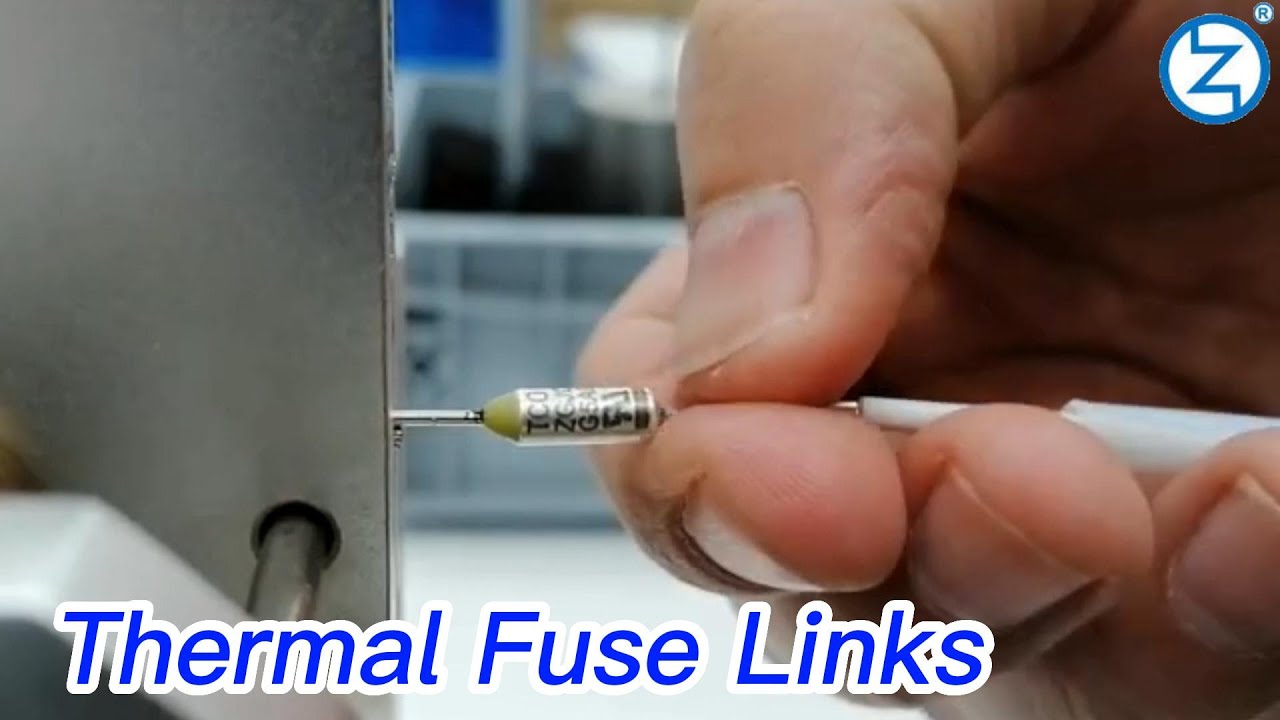 Axial Leaded Thermal Fuse Links 20A 250V Cutoff For Protection - YouTube