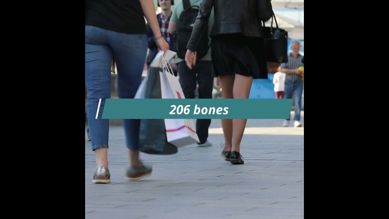 How Many Bones Does A Cat Have Does Cat Have More Bones Than Human how-many-bones-does-a-cat-have-does-cat-have-more-bones-than-human