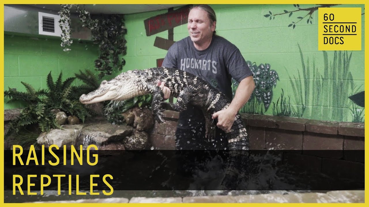 Raising Reptiles | Brian Barczyk SnakeBytesTV// 60 Second Docs - YouTube